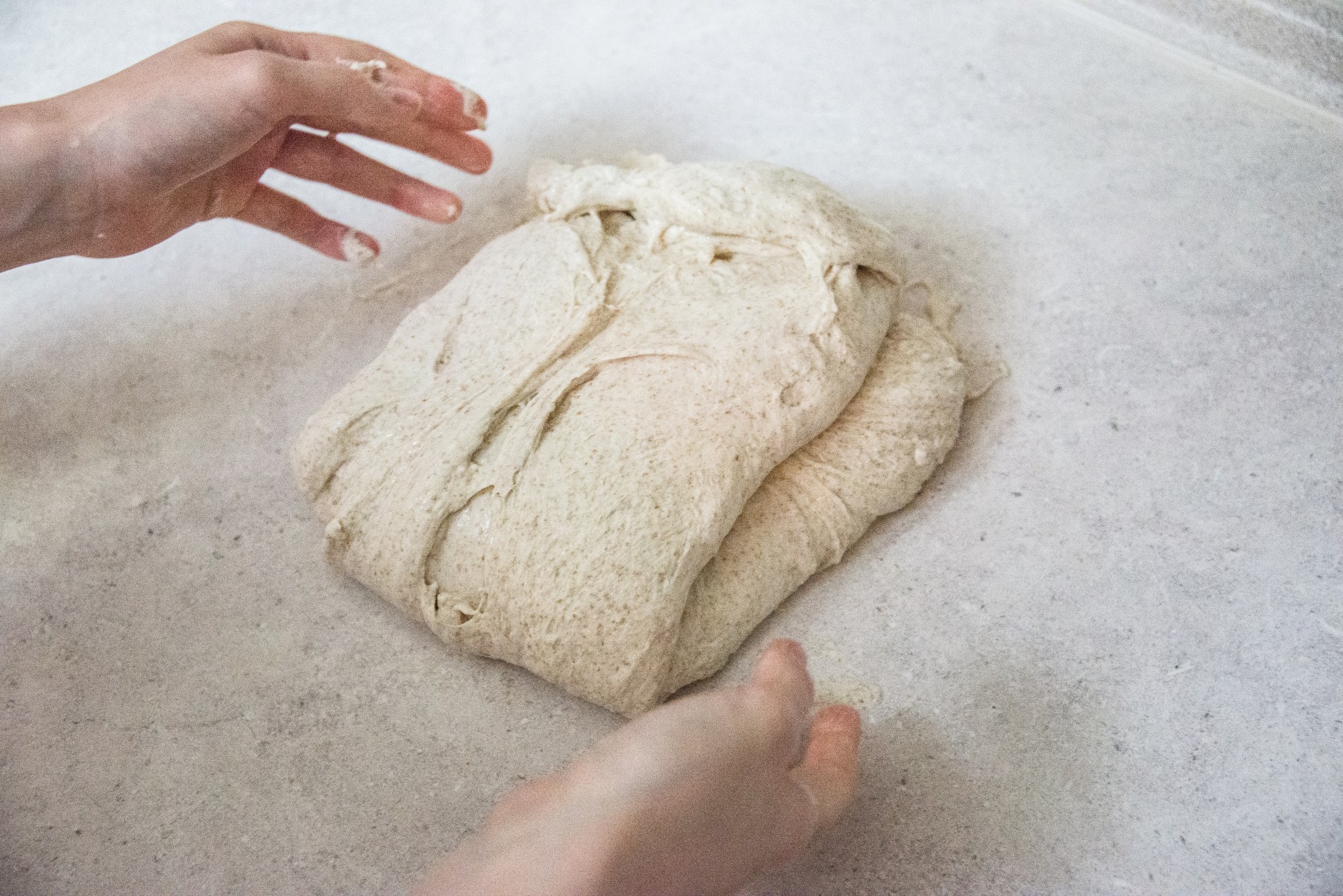 Decorative Bread Scoring. The Basics – Bread Journey