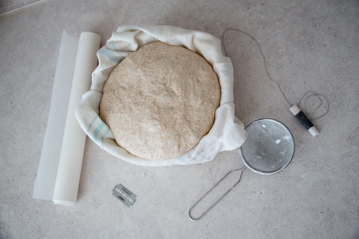 Lessons learned. Part 1. – Bread Journey